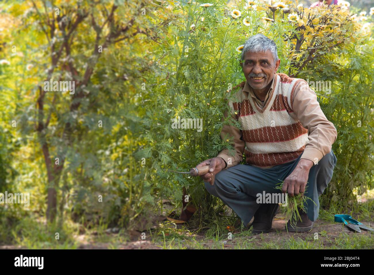 Indian farmer digging hi-res stock photography and images - Alamy