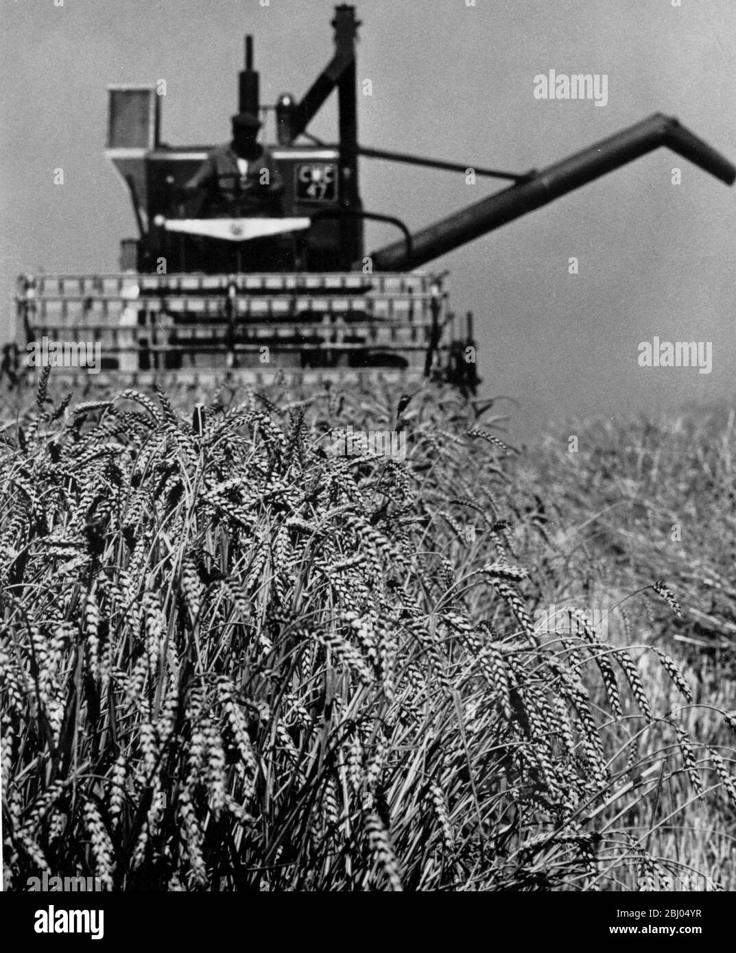Modern combine harvester in hi-res stock photography and images - Alamy
