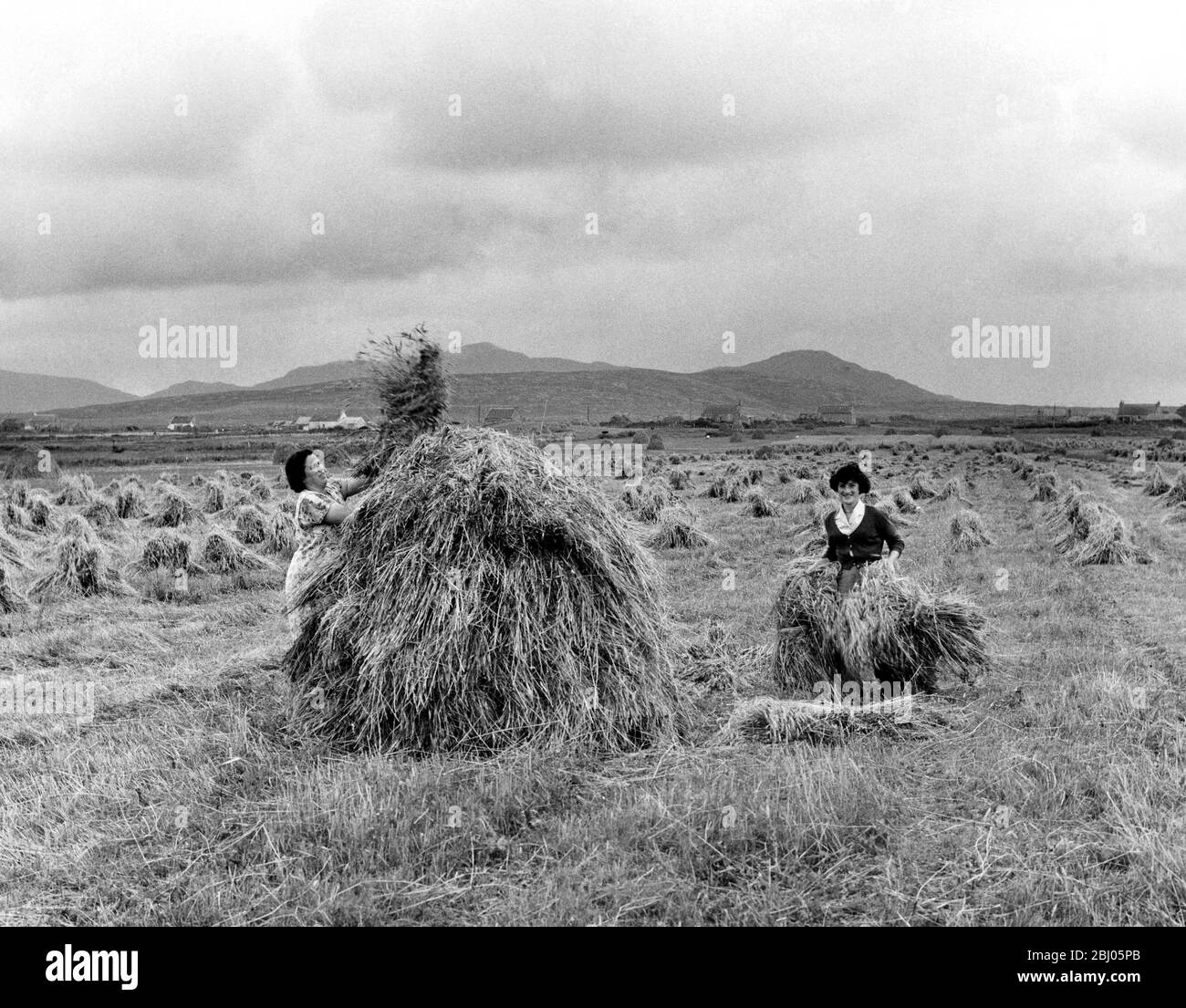 Scythe harvest Black and White Stock Photos & Images - Alamy
