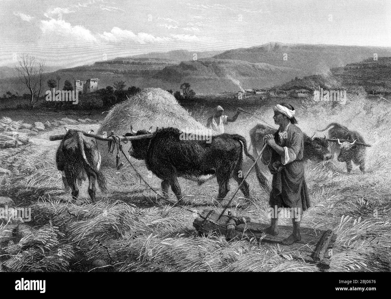 Threshing Black and White Stock Photos & Images - Alamy