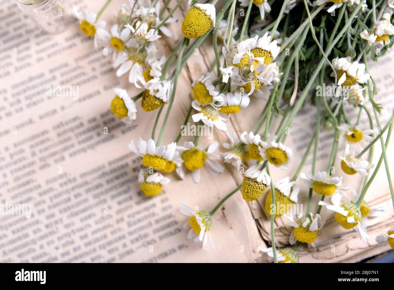 Desiccated flowers hi-res stock photography and images - Alamy