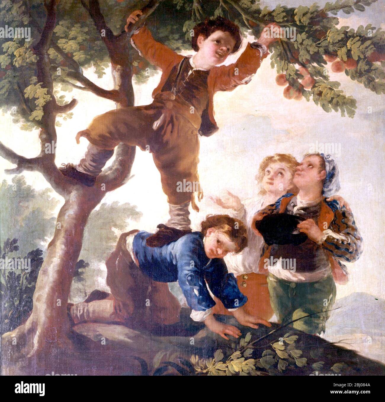 Young Boys picking fruit Stock Photo - Alamy