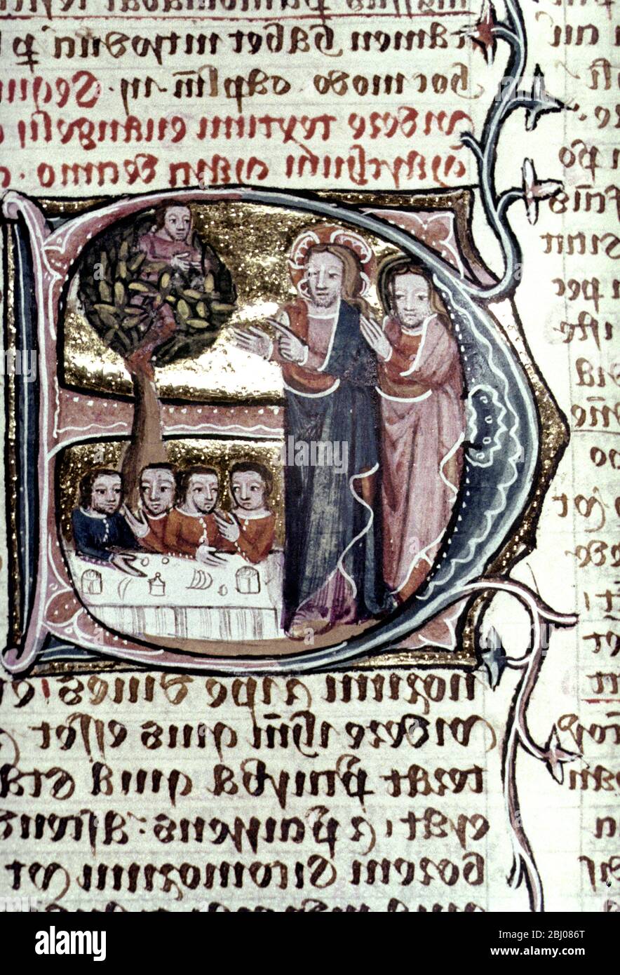 Zaccheus tree hi-res stock photography and images - Alamy