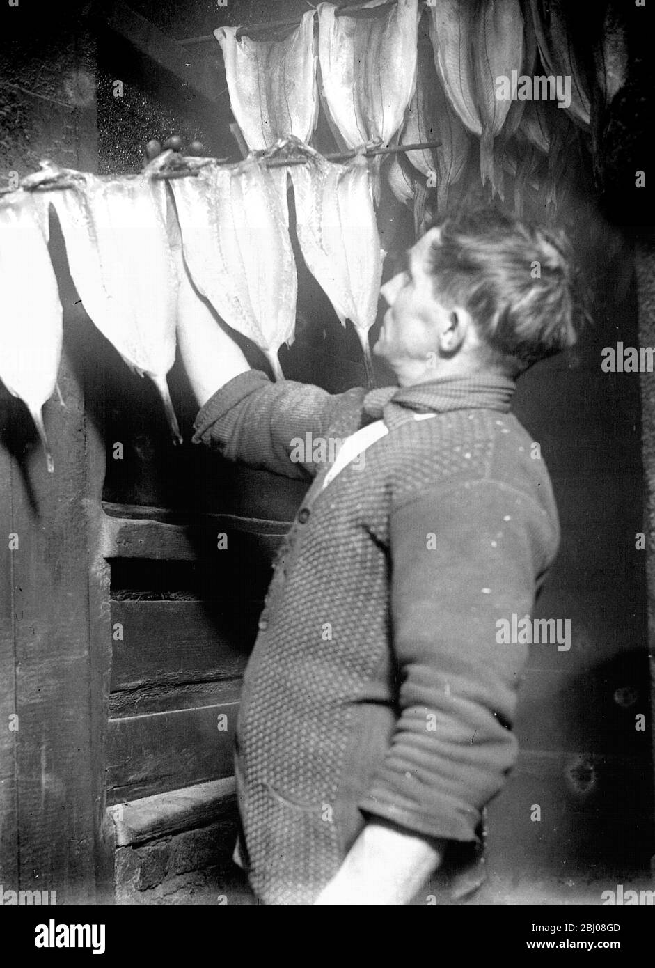 Curing Fish. - 1933 Stock Photo - Alamy