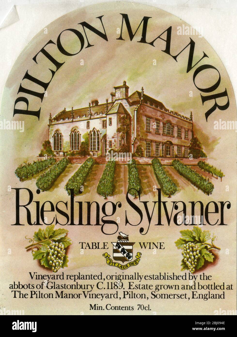 Pilton manor vineyard hi-res stock photography and images - Alamy