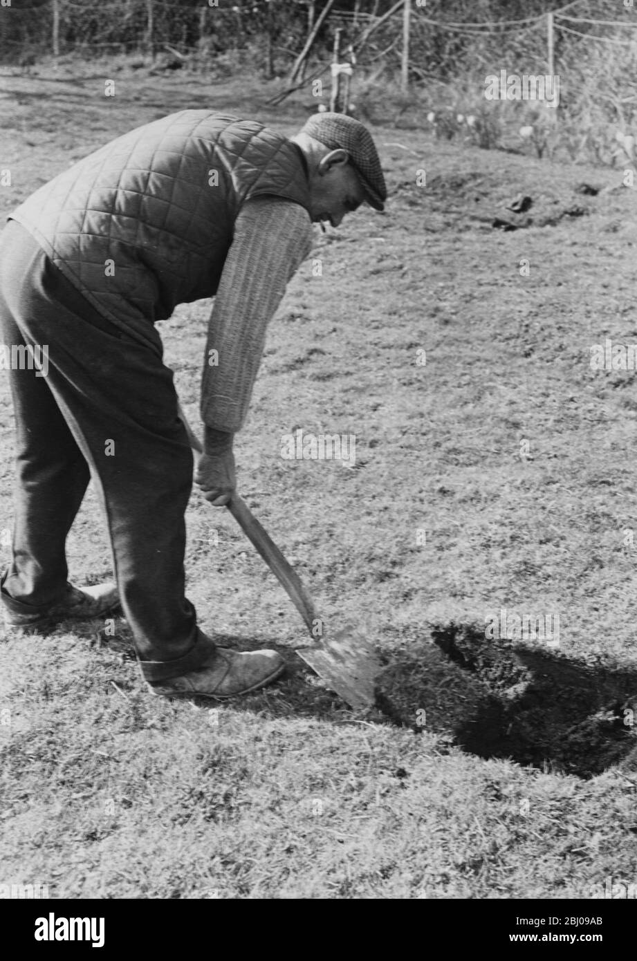 Digging trench garden Black and White Stock Photos & Images - Alamy