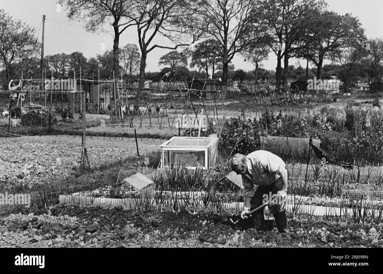 Garden allotments edenbridge kent hi-res stock photography and images ...