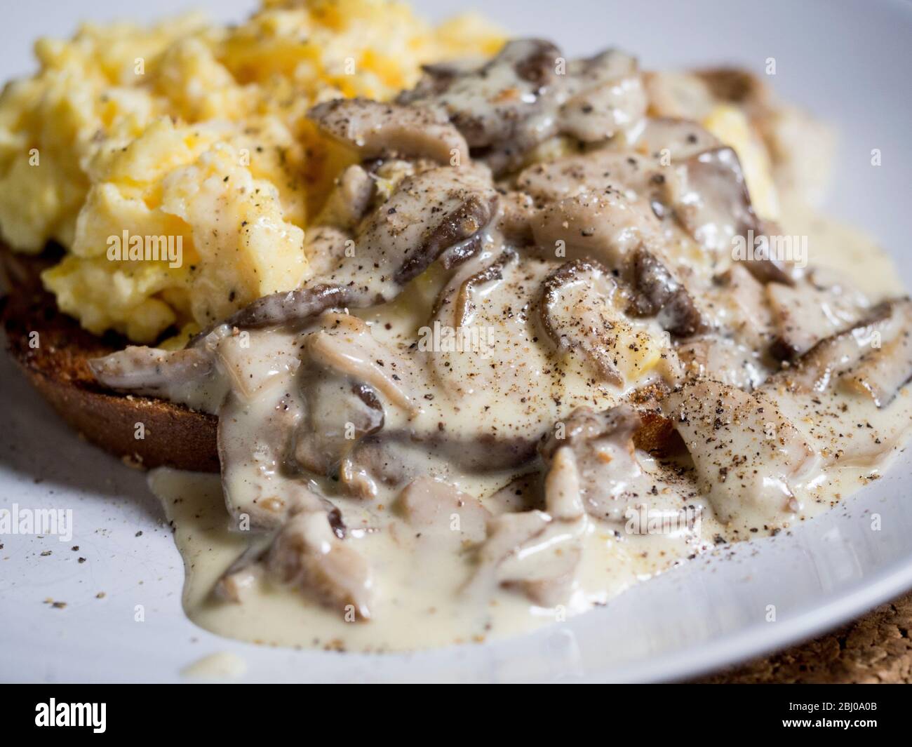 Foraged foods hi-res stock photography and images - Alamy