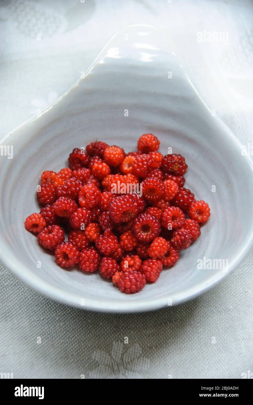 Japanese Wineberry - (Rubus phoenicolasius) in small bowl Stock Photo ...