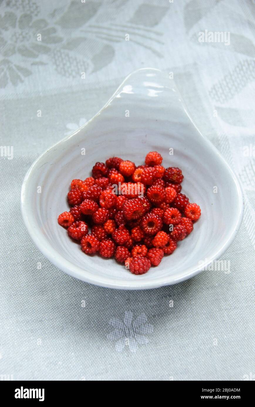 Japanese Wineberry - (Rubus phoenicolasius) in small bowl Stock Photo ...
