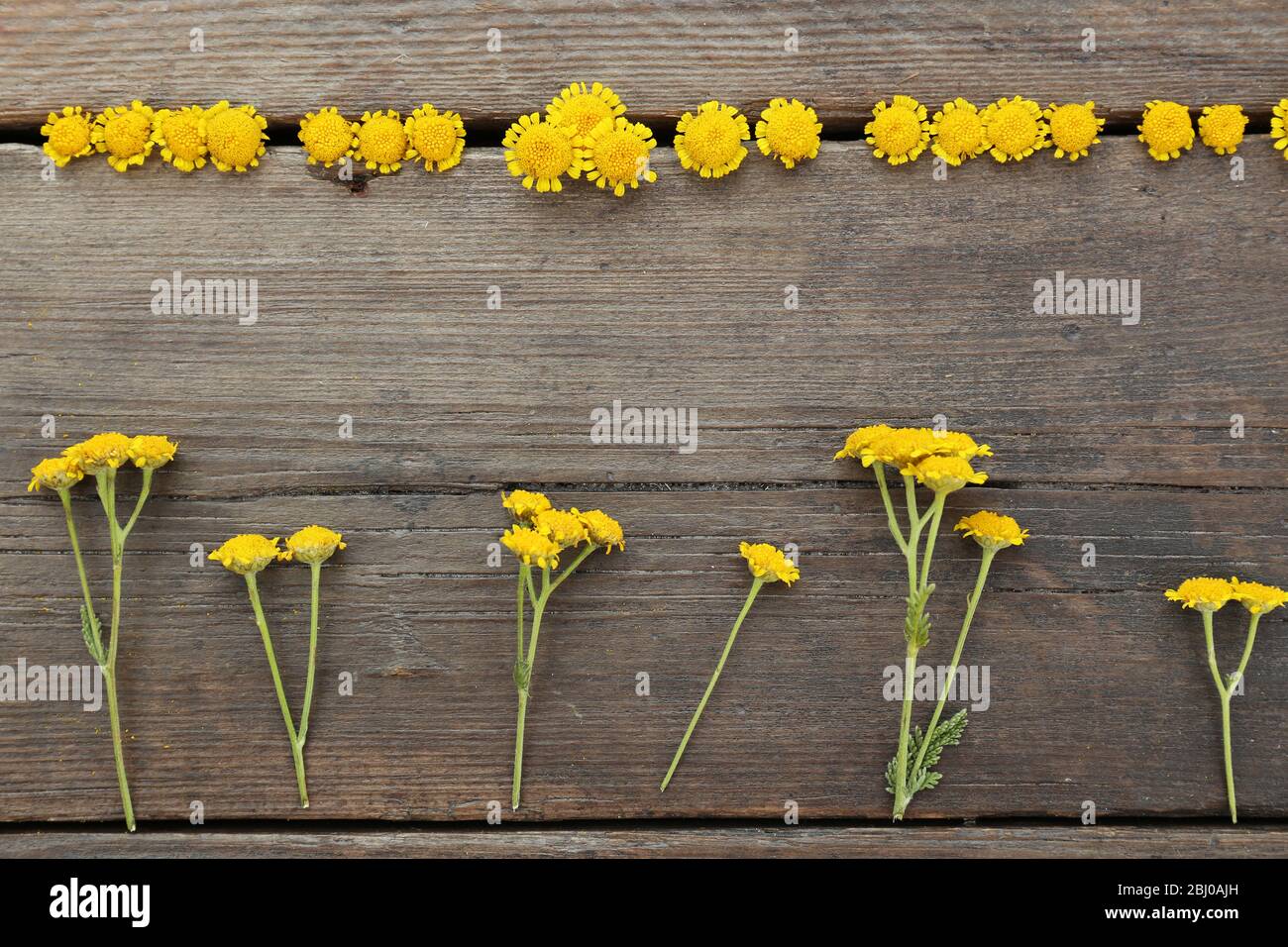 Beautiful small wild flowers on wooden background Stock Photo - Alamy