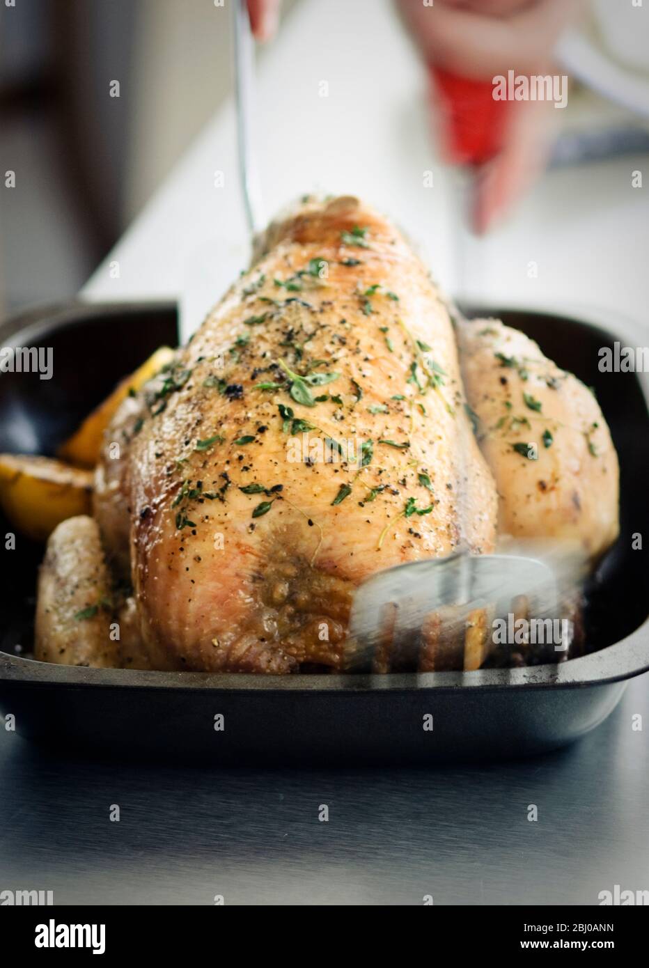 Lifting freshly roasted free-range organic chicken from roasting tin ...