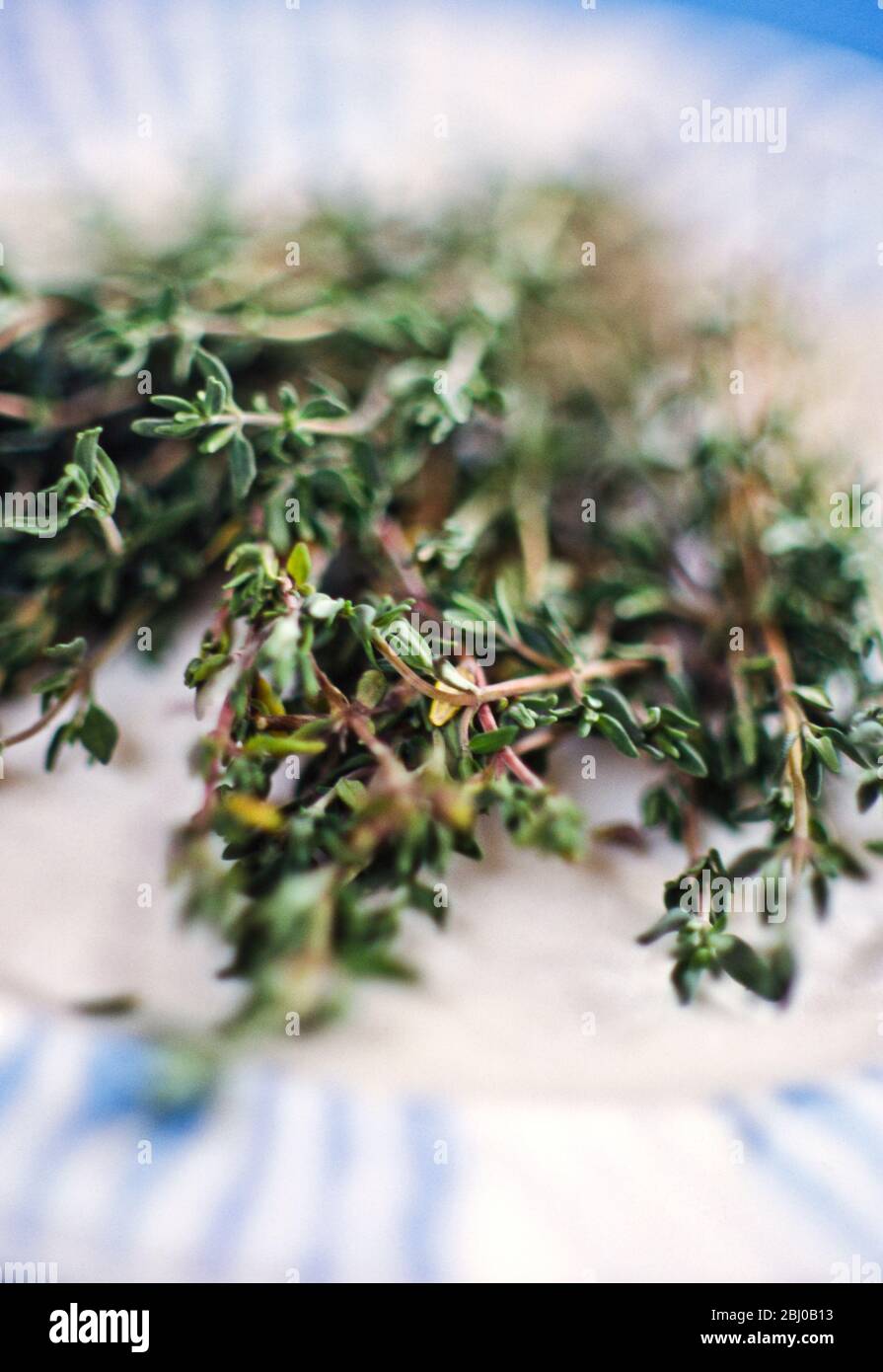 Fresh thyme hi-res stock photography and images - Alamy