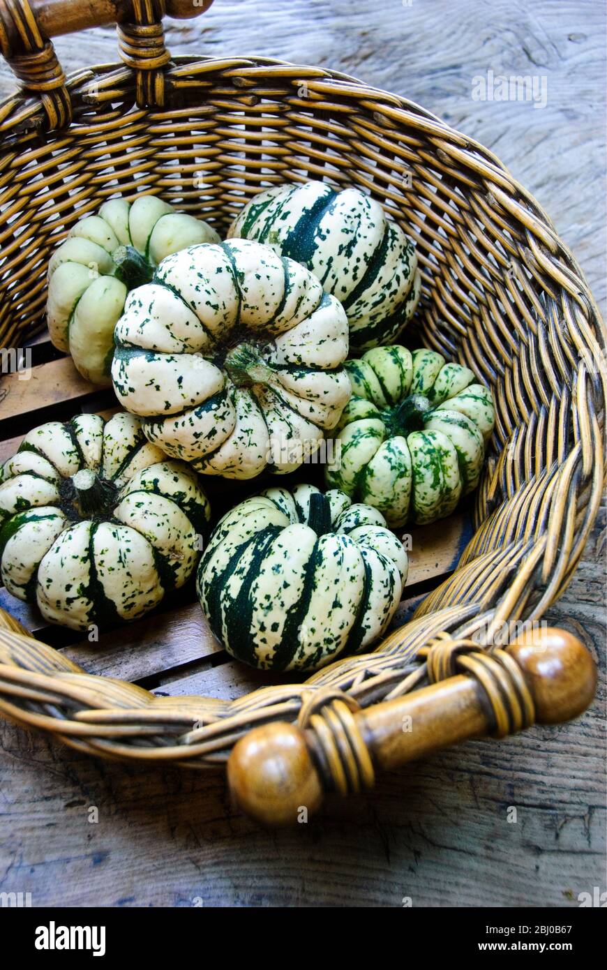 Decorative gourds hi-res stock photography and images - Alamy