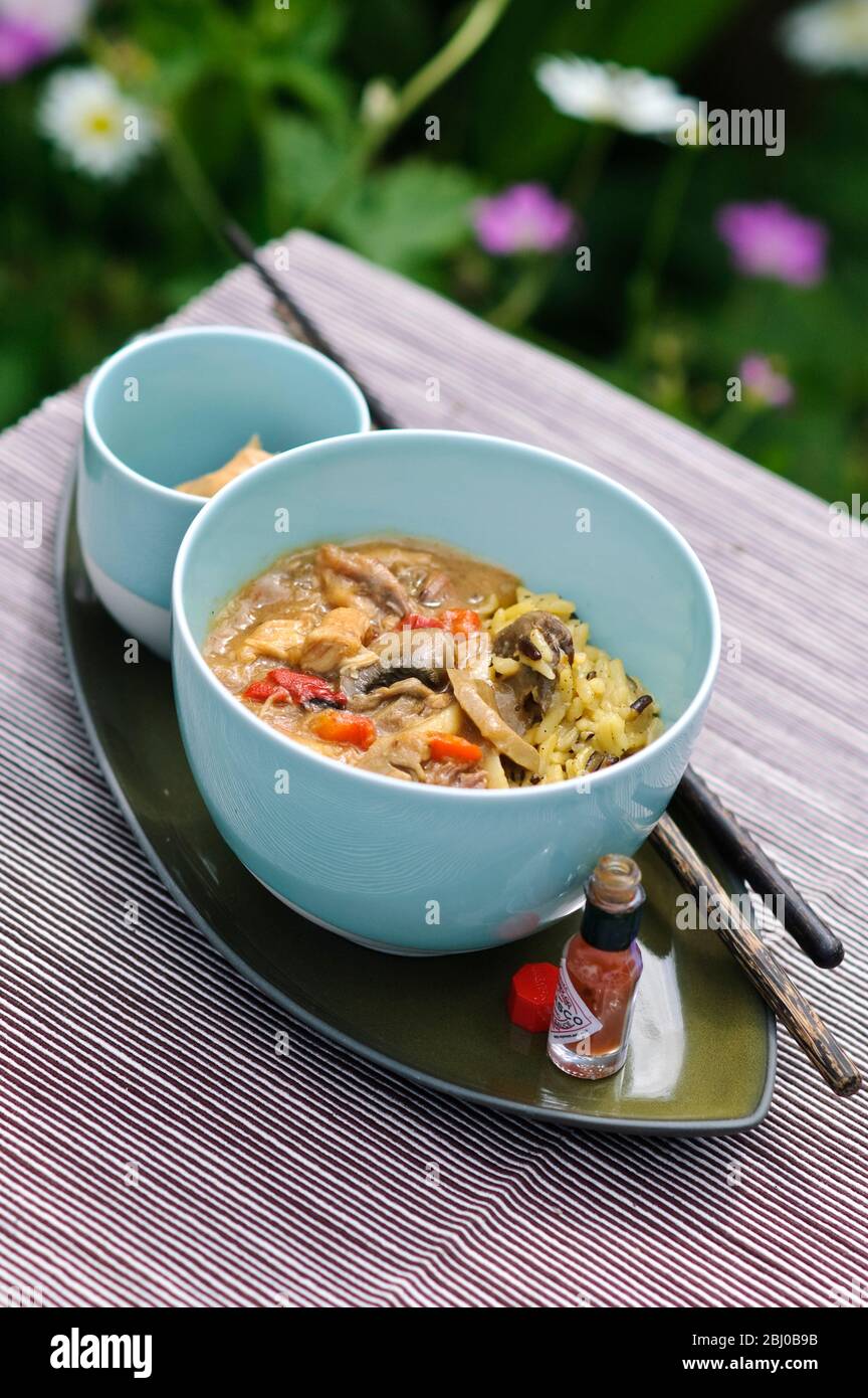 Thai chicken curry on rice - reconstituted American Government Food ...