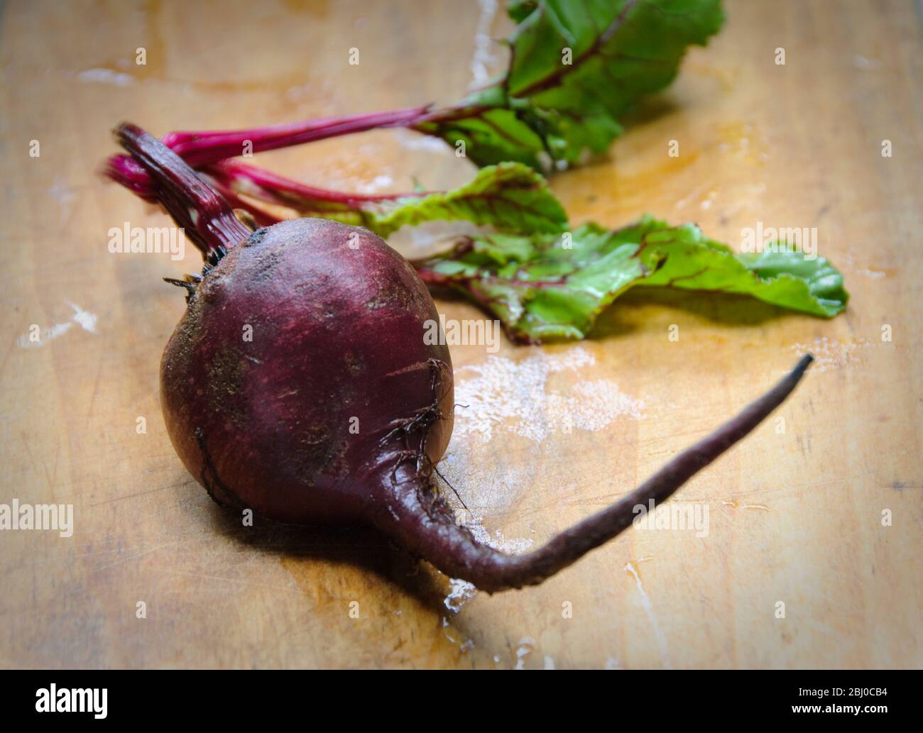 Fresh raw beetroots hi-res stock photography and images - Alamy