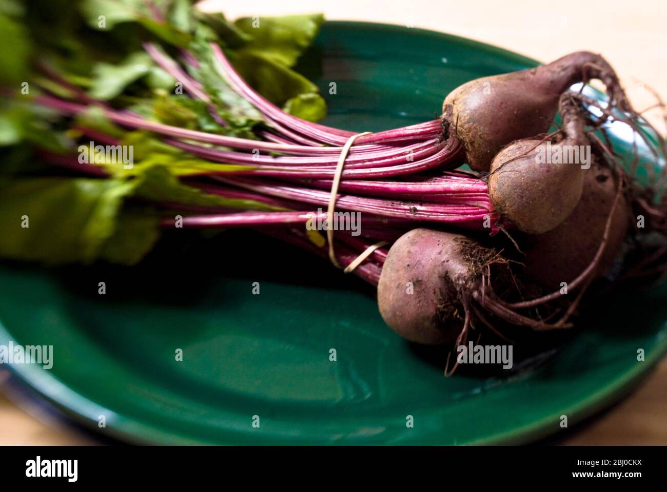 A bunch of freshly dug, whole beetroot on dark green plate Stock Photo ...