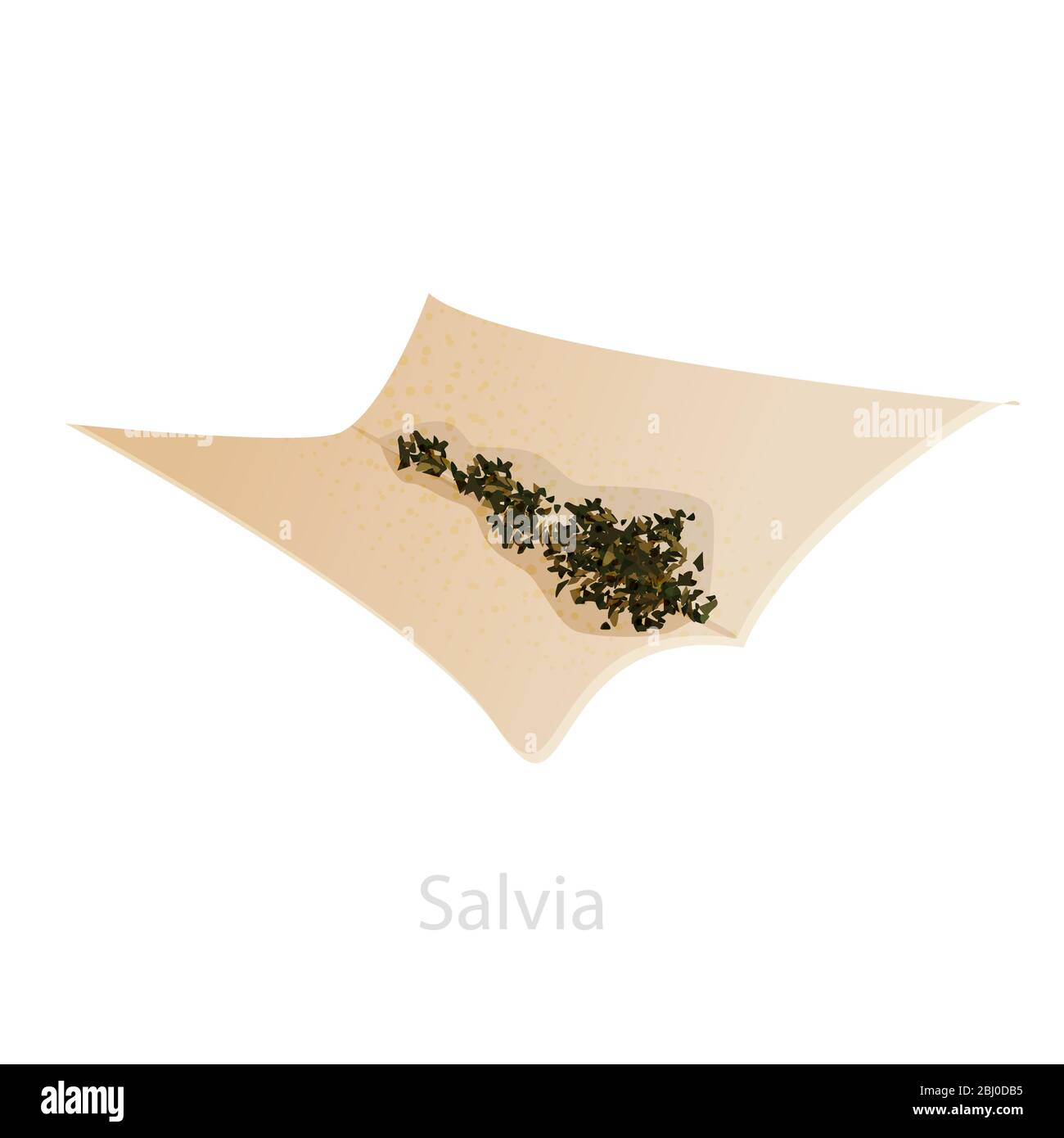 Salvia ready for smoking. The concept of narcotic sage Stock Vector ...