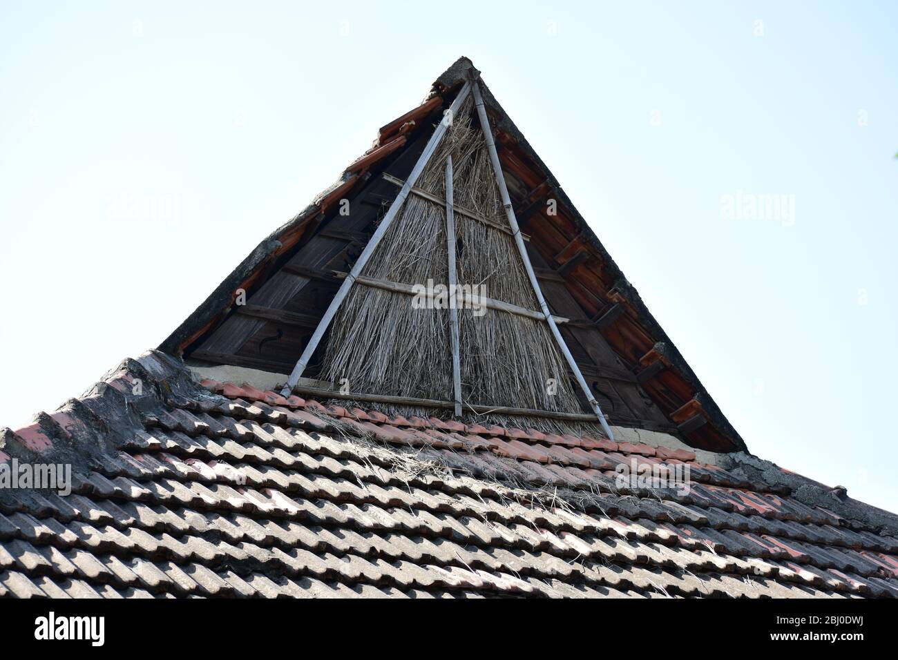 Traditional Tribal Hut in india Stock Photo - Alamy