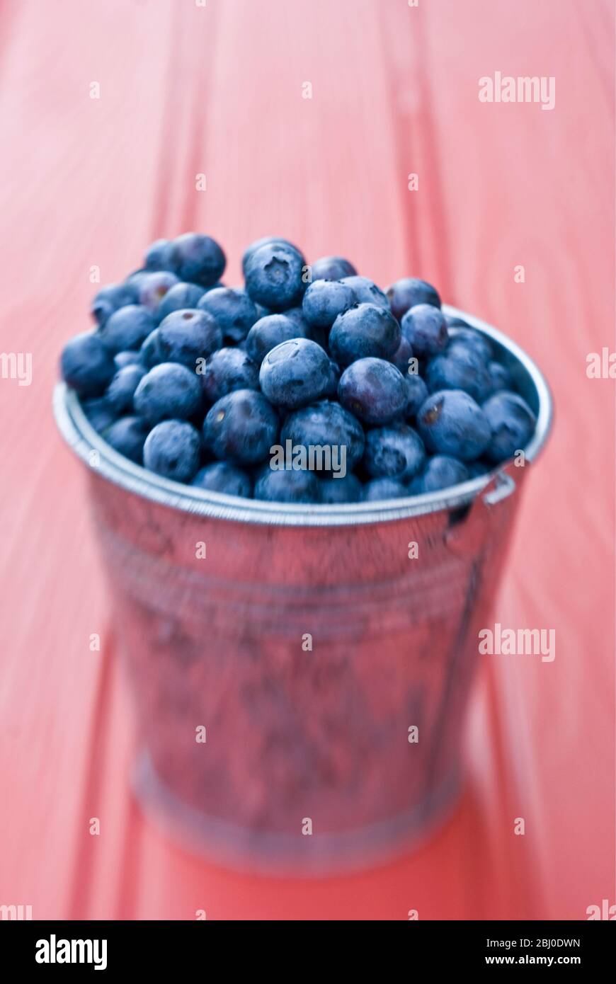 Fresh blueberries in metal bucket Stock Photo - Alamy