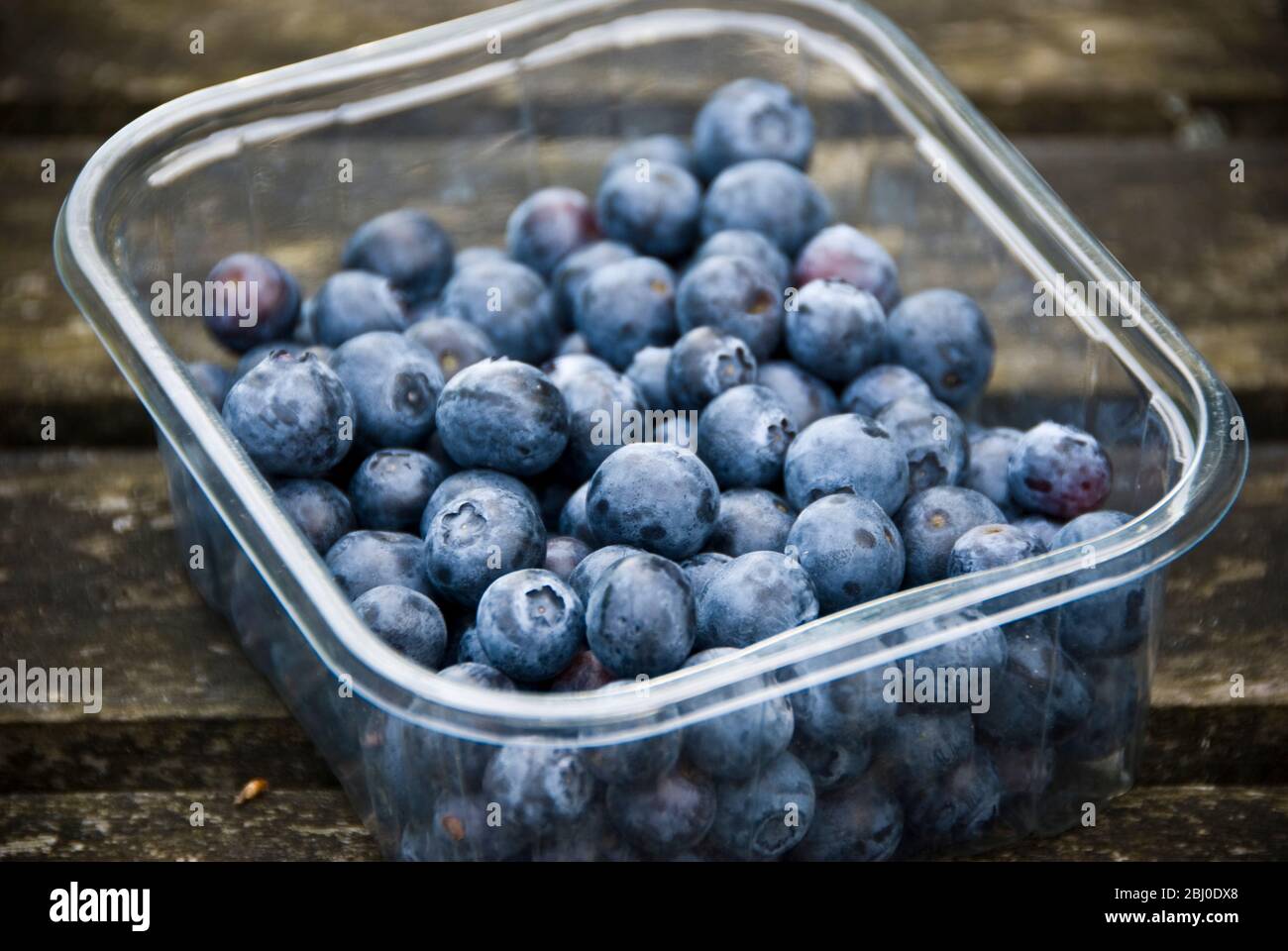Fresh blueberries in clear punnet Stock Photo - Alamy