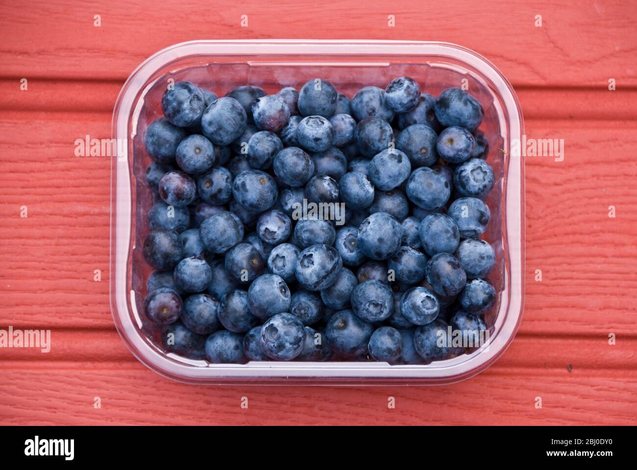 Fresh blueberries in clear punnet Stock Photo - Alamy