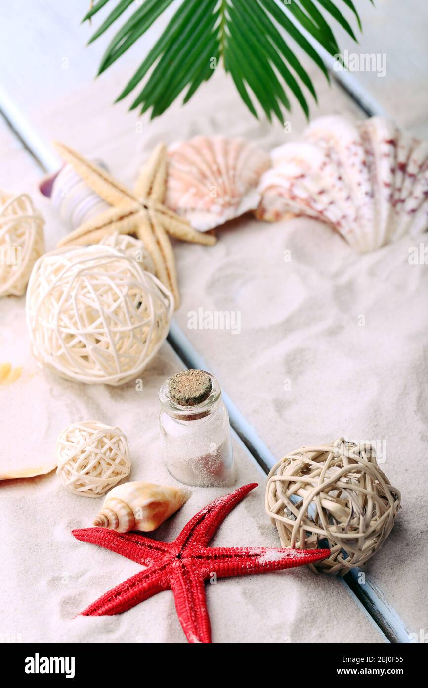 Beautiful seashells on sand background Stock Photo - Alamy
