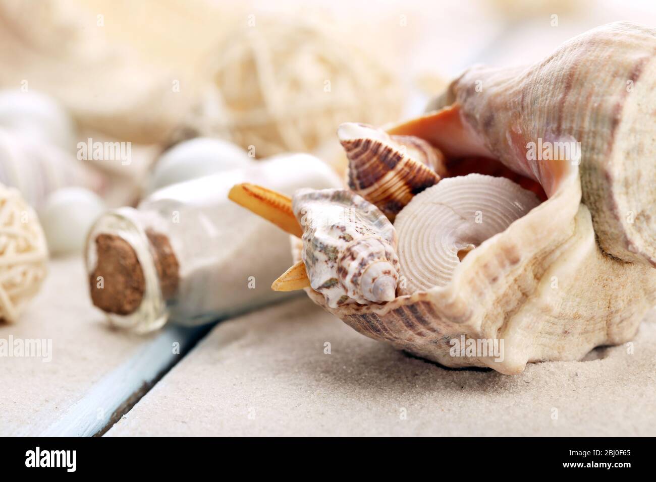 The composition of shells hi-res stock photography and images - Alamy