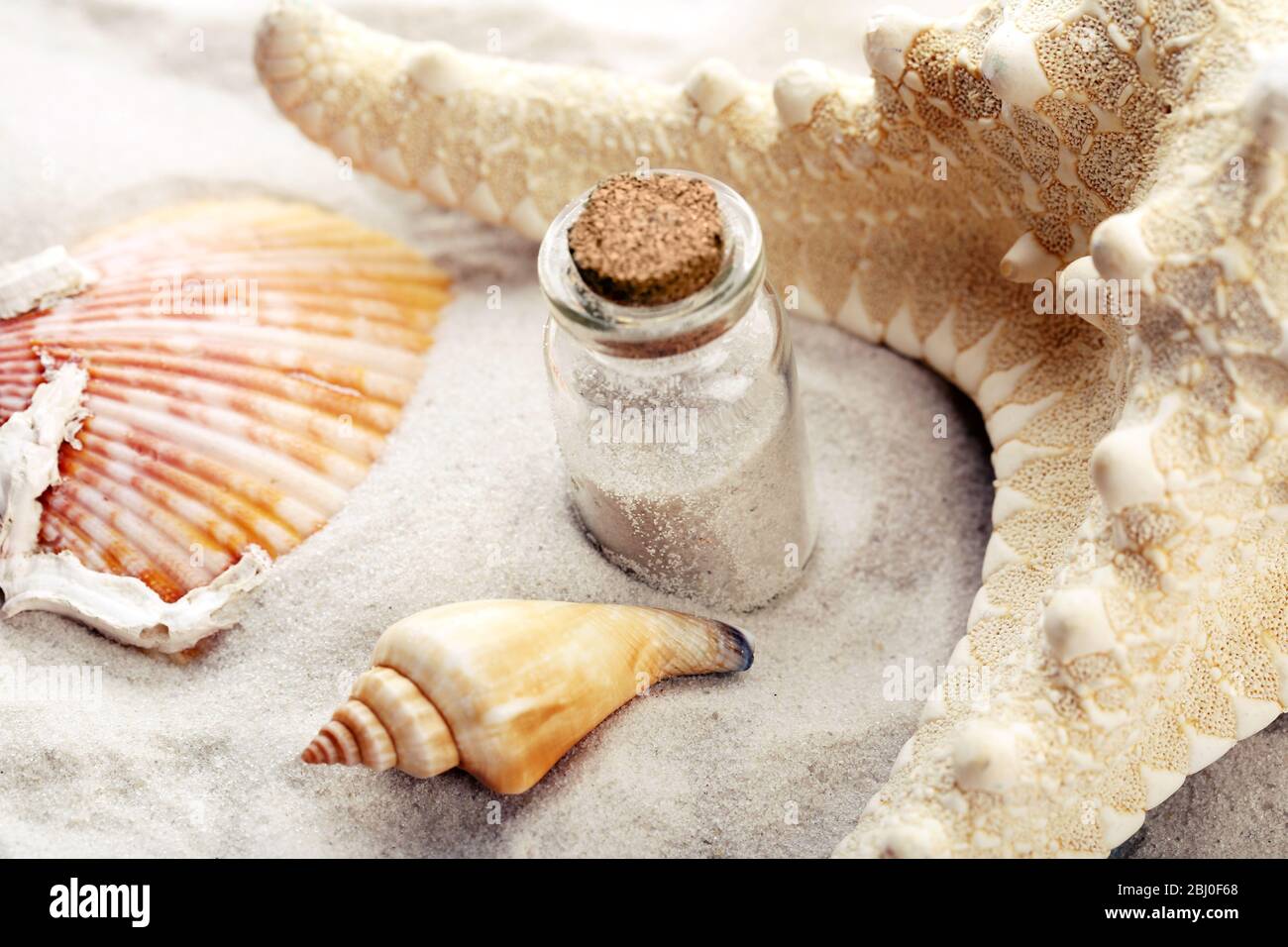 The composition of shells hi-res stock photography and images - Alamy