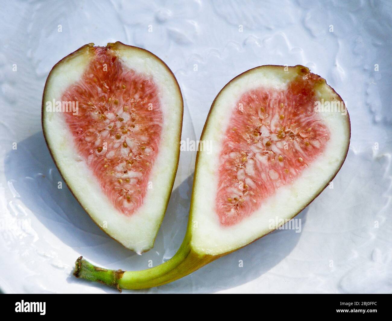White fig hi-res stock photography and images - Alamy