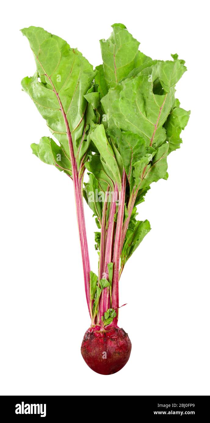 Young beet isolated on white Stock Photo - Alamy