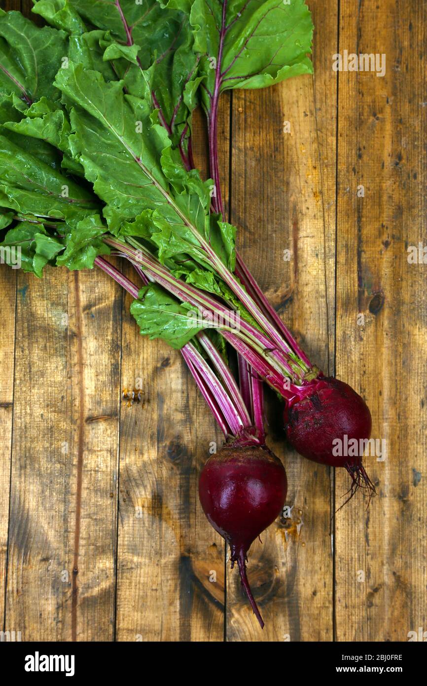 Young beets on wooden table Stock Photo - Alamy