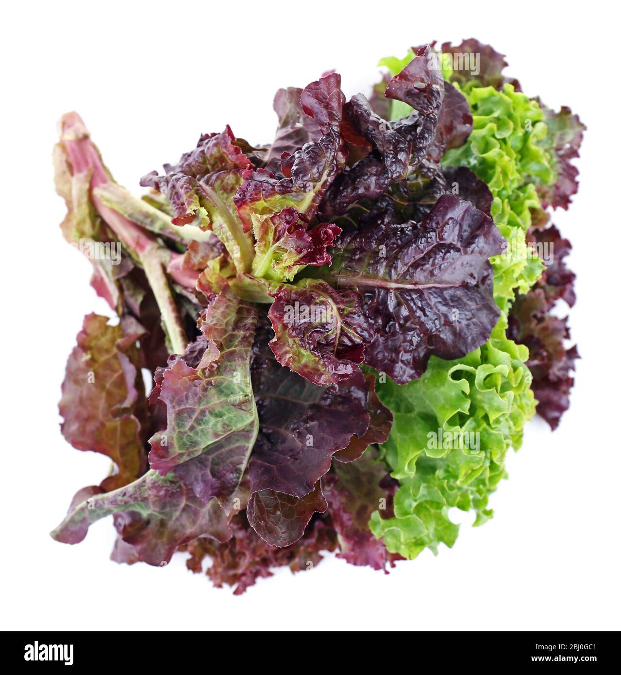 Bunch of lettuce isolated on white Stock Photo - Alamy