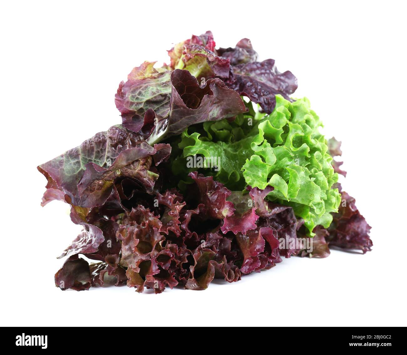Bunch of lettuce isolated on white Stock Photo - Alamy