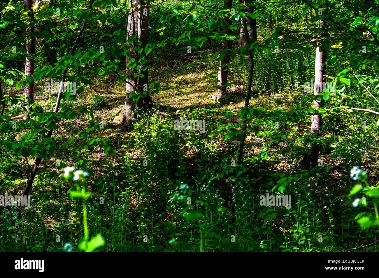 Nature landscape photography hi-res stock photography and images - Alamy