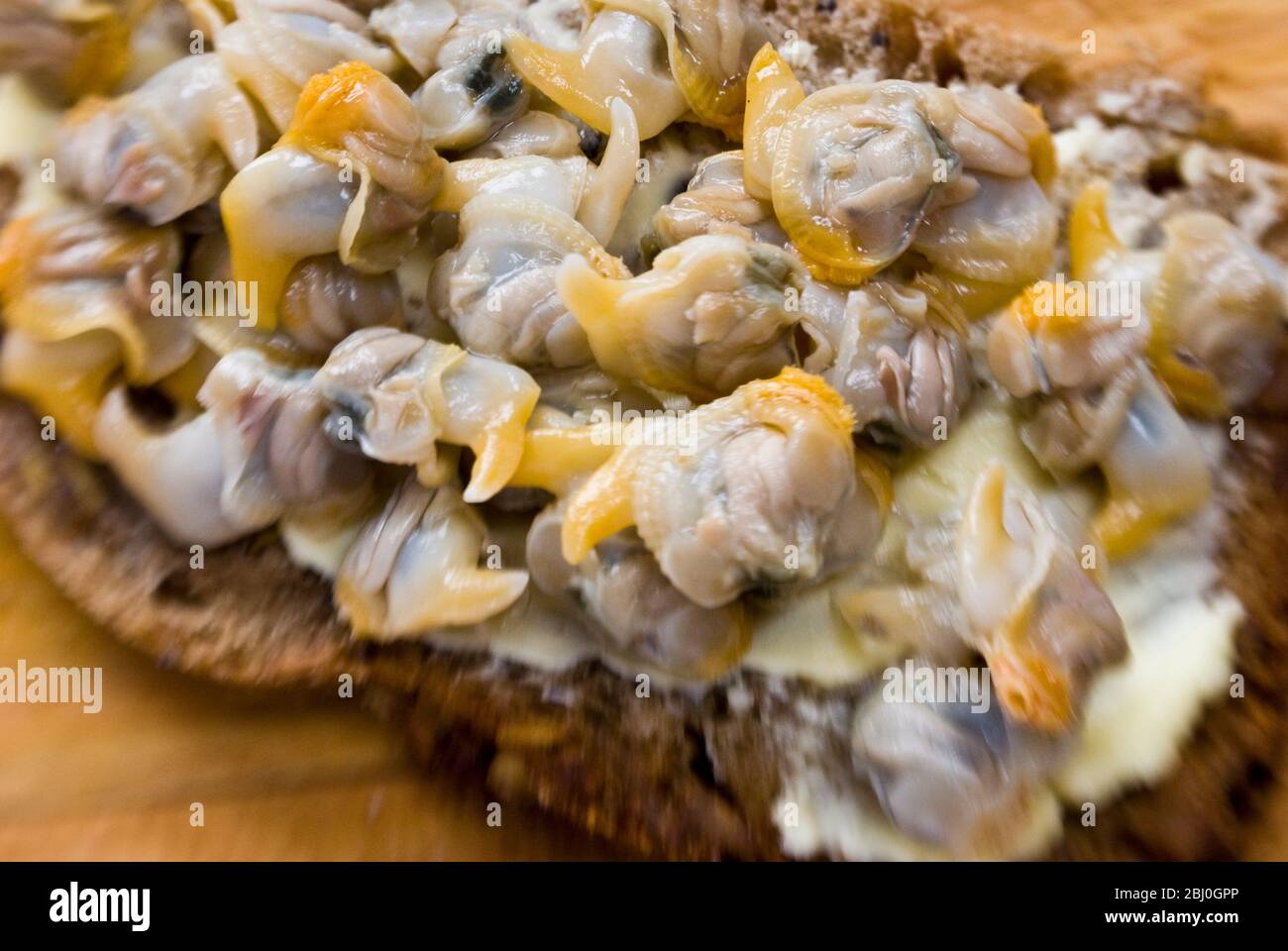 Cockles on buttered wholemeal bread Stock Photo - Alamy