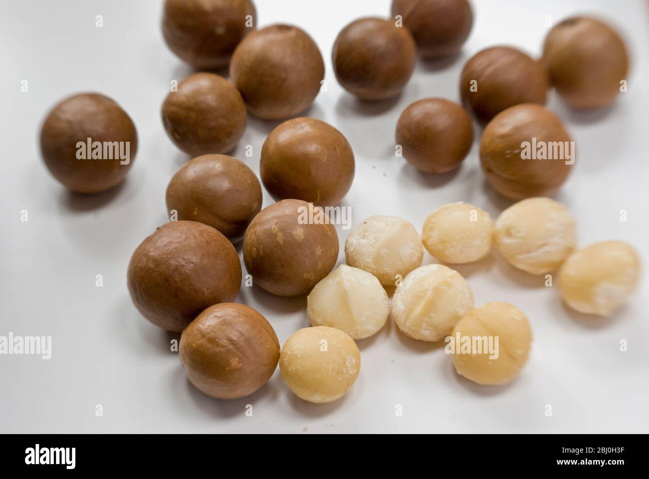 Round nuts hi-res stock photography and images - Alamy