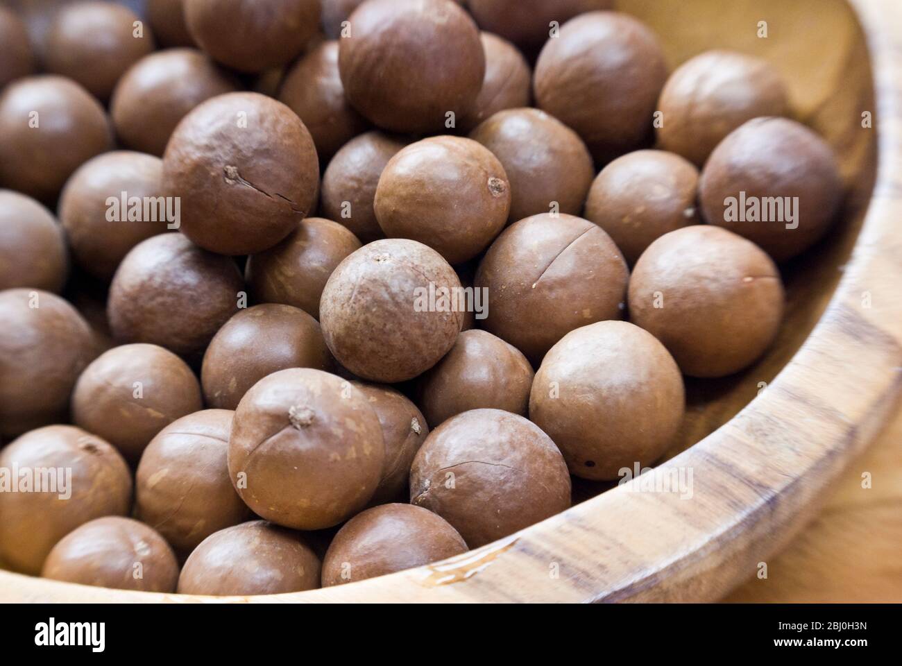 Whole macadamia nuts in their shells in wooden bowl Stock Photo - Alamy