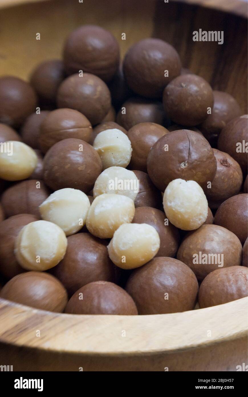 Whole macadamia nuts in their shells and shelled, roasted nuts in ...