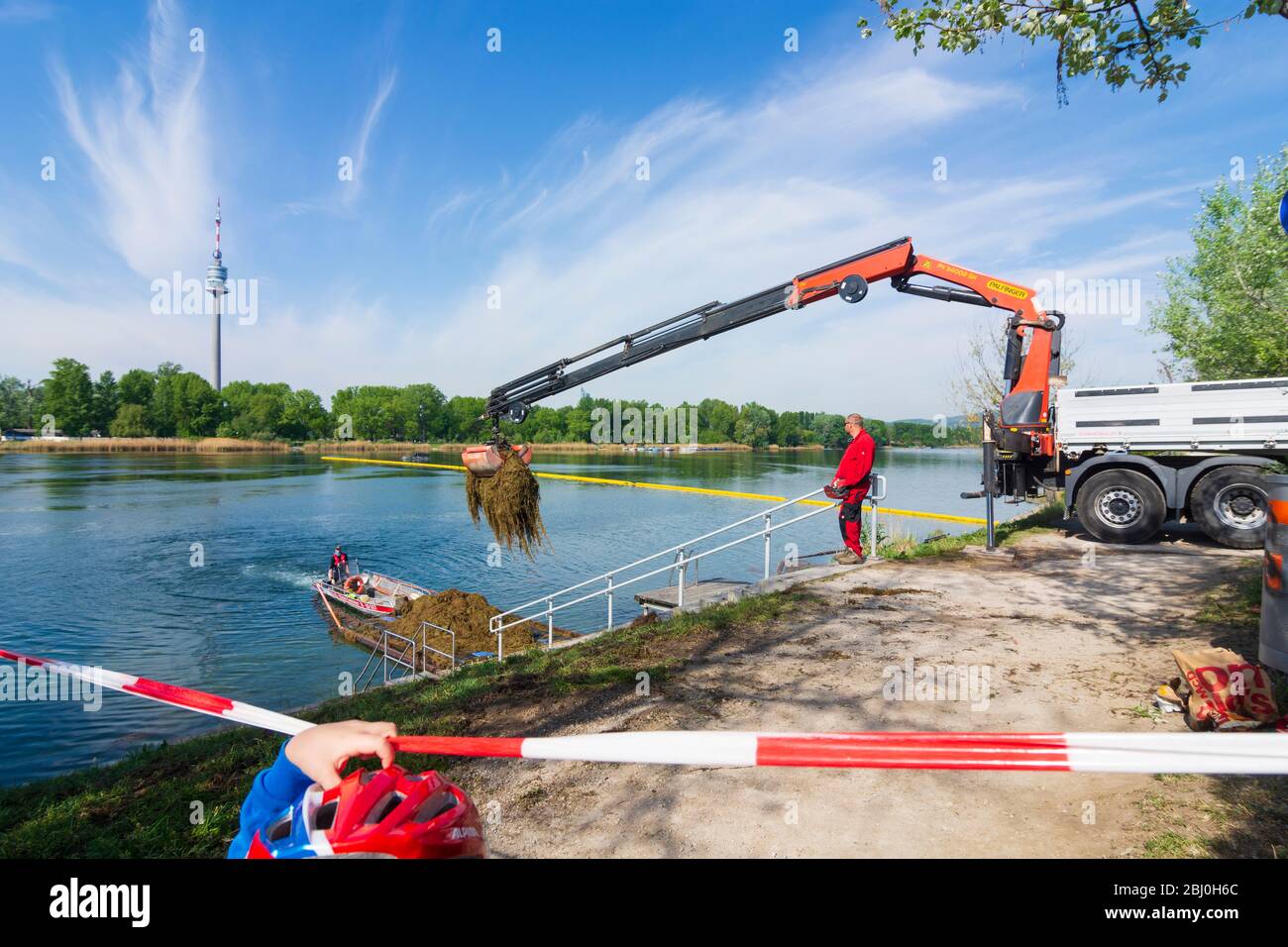Plants boat hi-res stock photography and images - Alamy