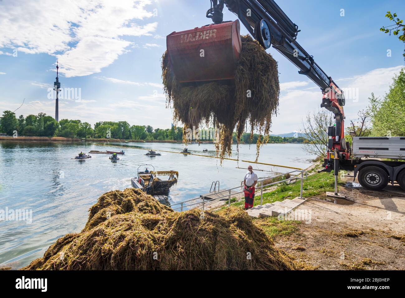 Wien, Vienna: water plants boat mower of Wiener Gewässer (Vienna waters ...