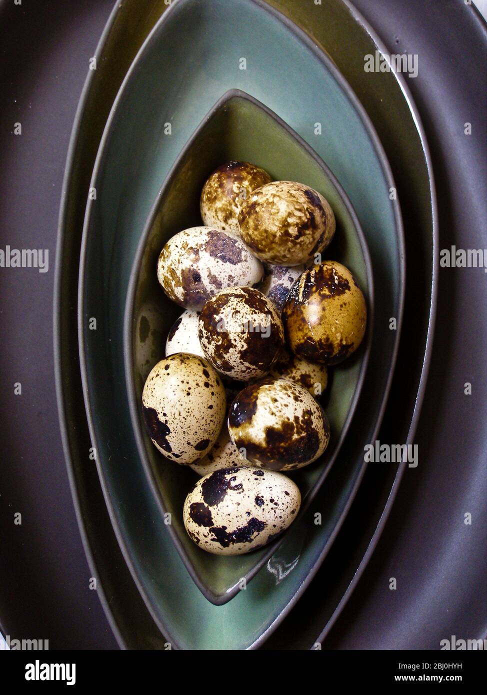 Green shells hi-res stock photography and images - Alamy