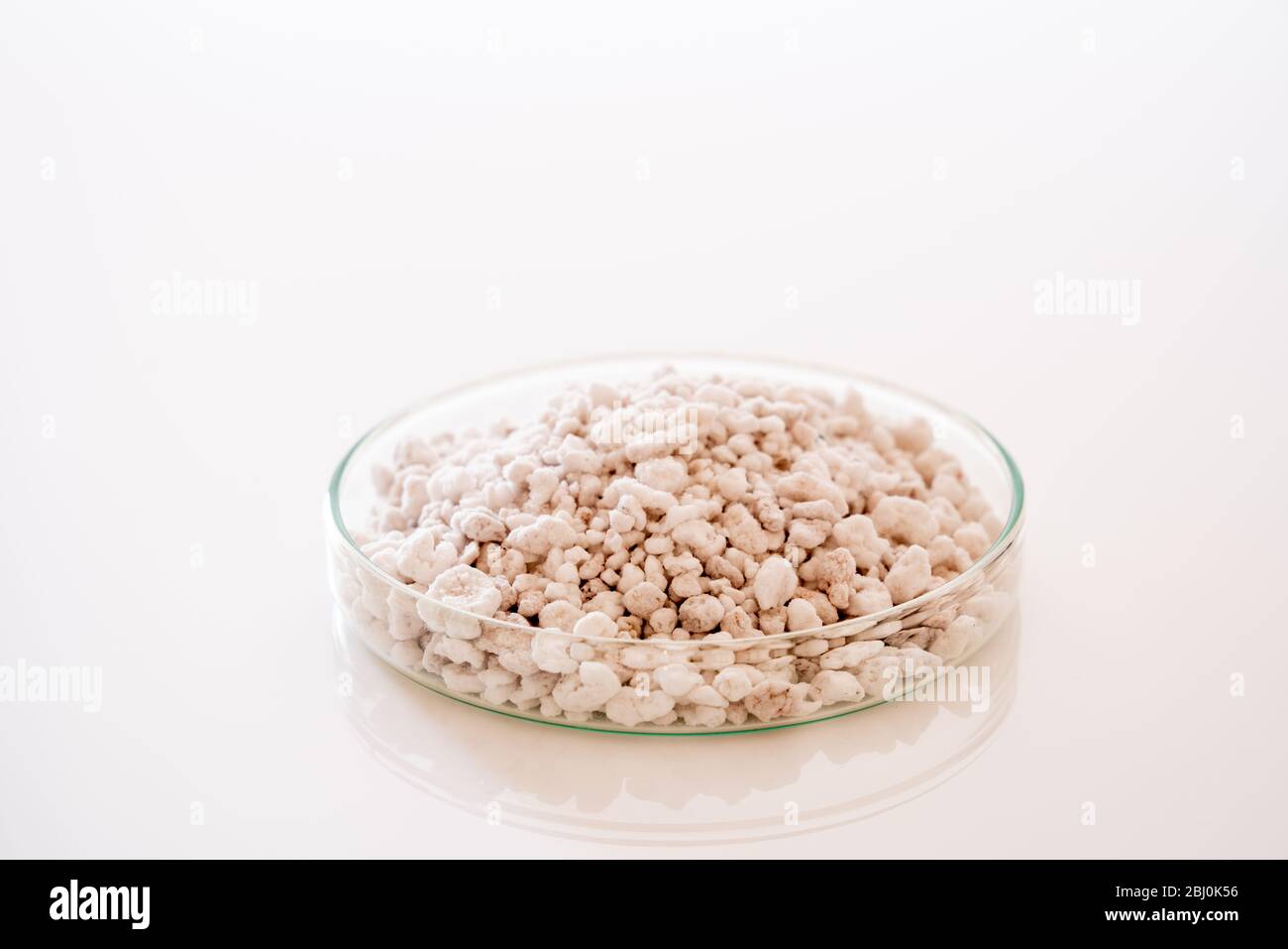 Perlite mineral Stone in petri dish on black background Stock Photo - Alamy