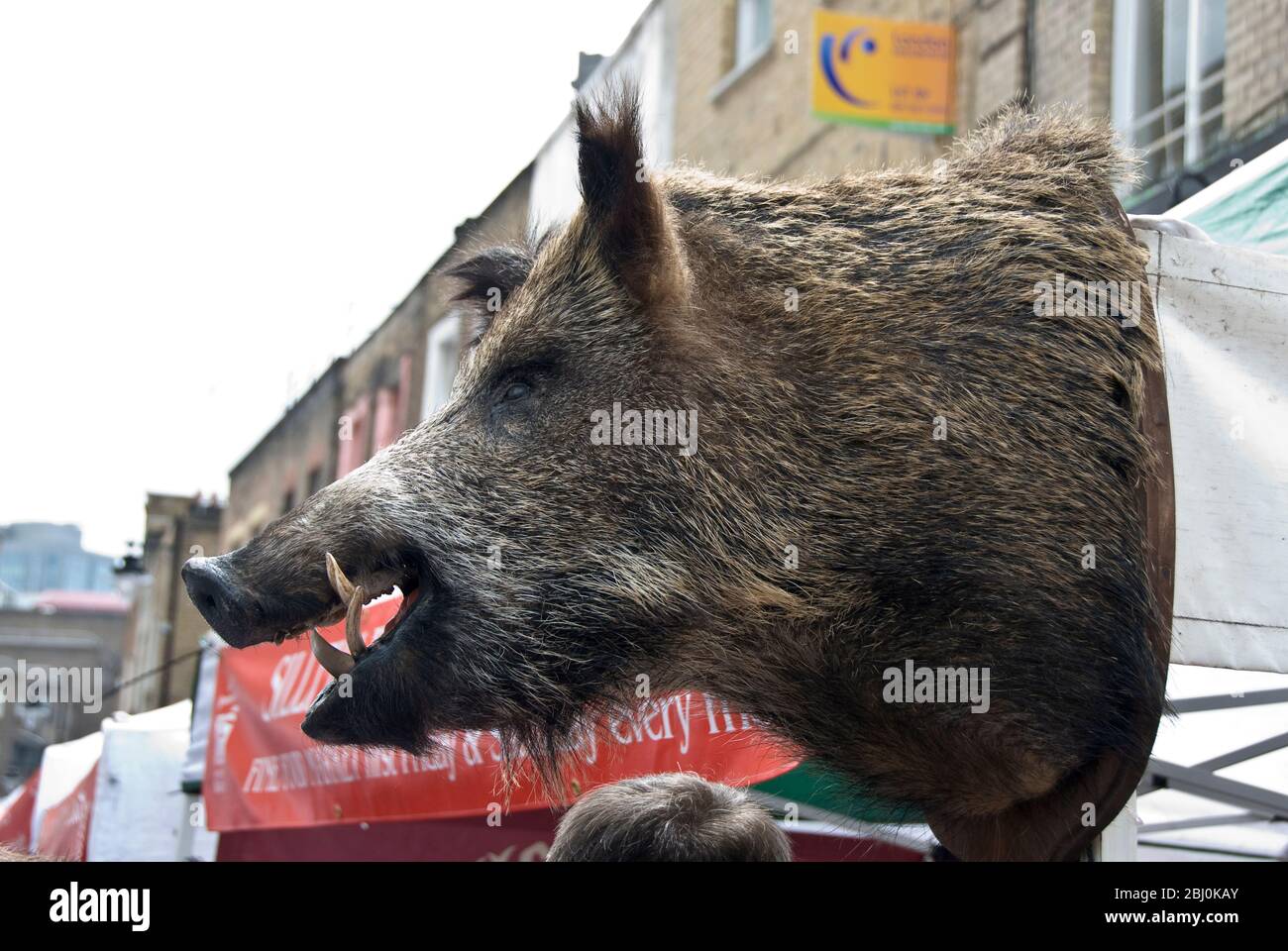 Stuffed boar's head on stall at Whitecross Street market, London EC1 ...