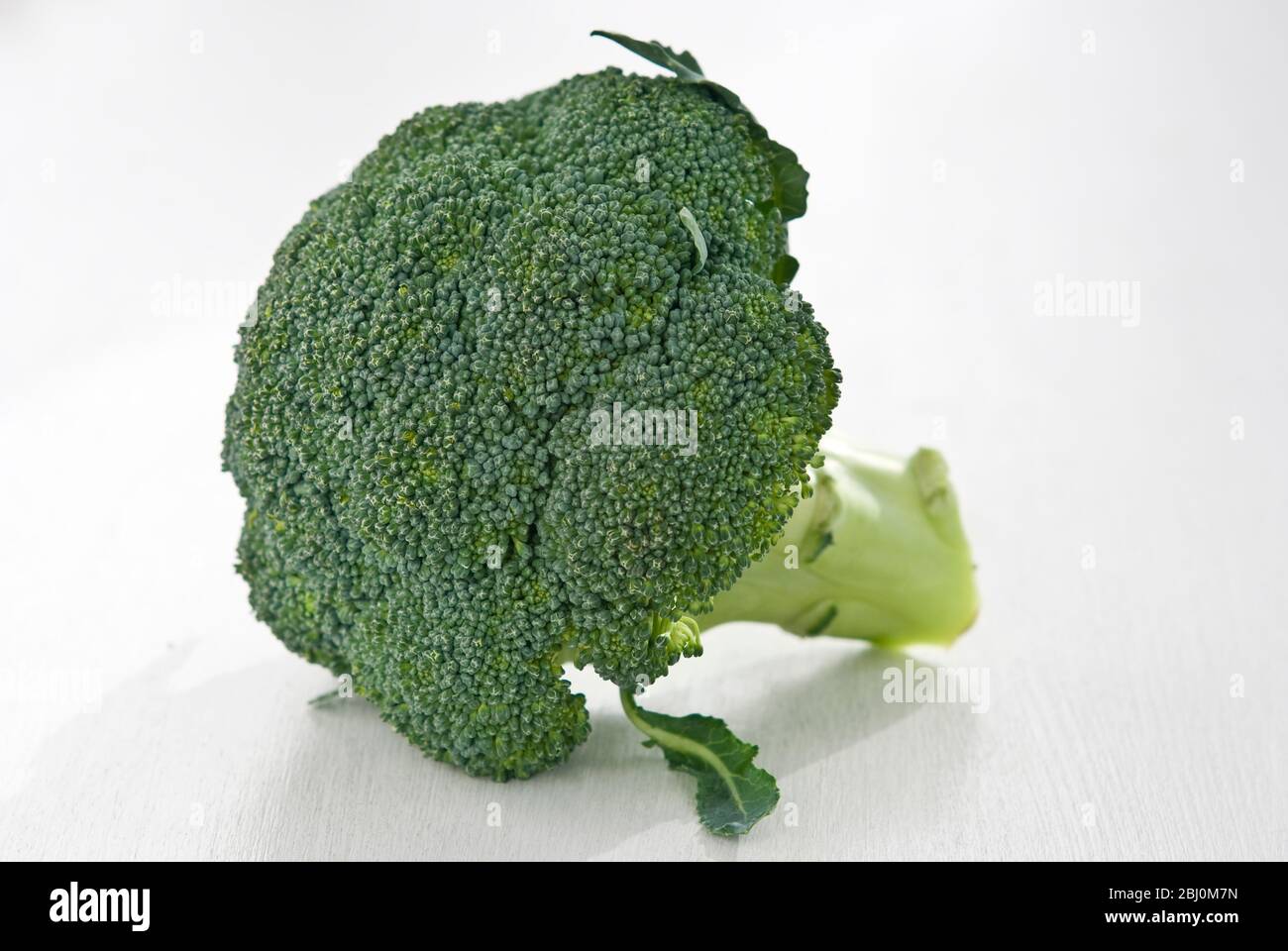 Head of broccoli on white background Stock Photo - Alamy