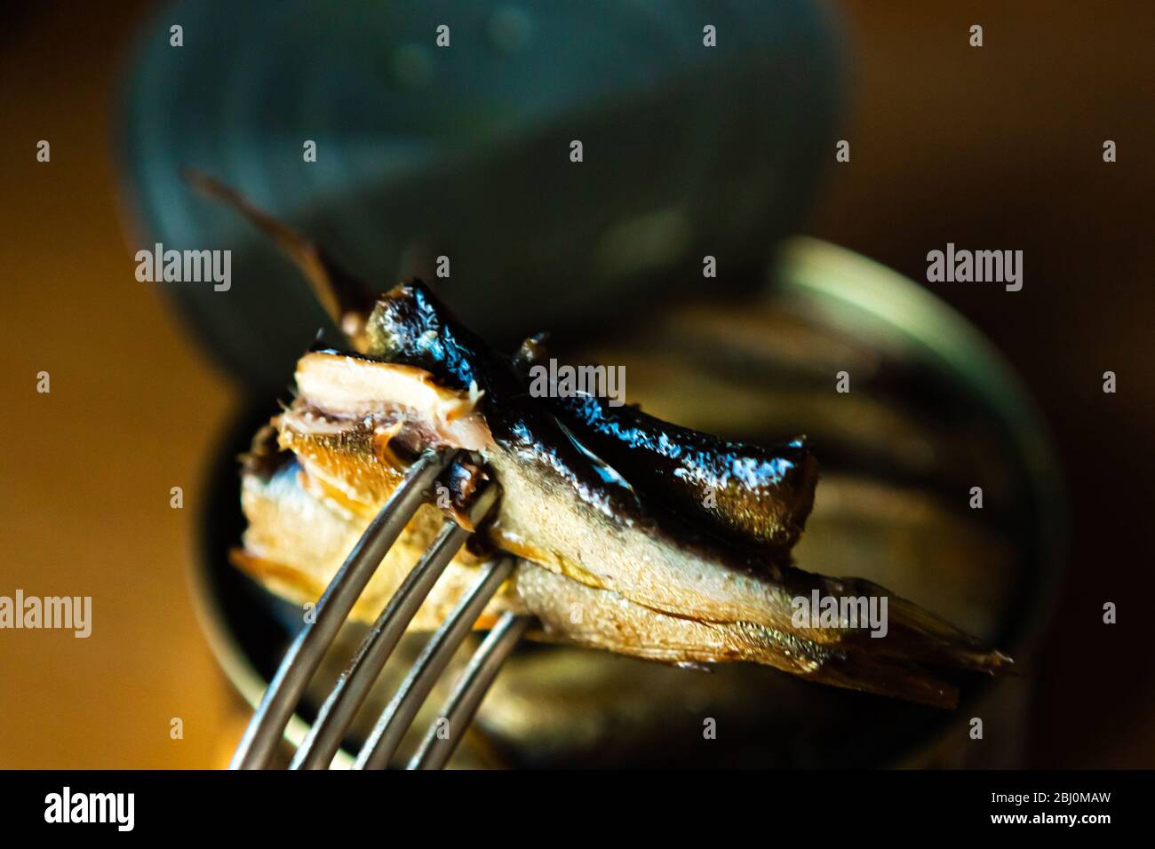 Impaled Fish High Resolution Stock Photography and Images - Alamy