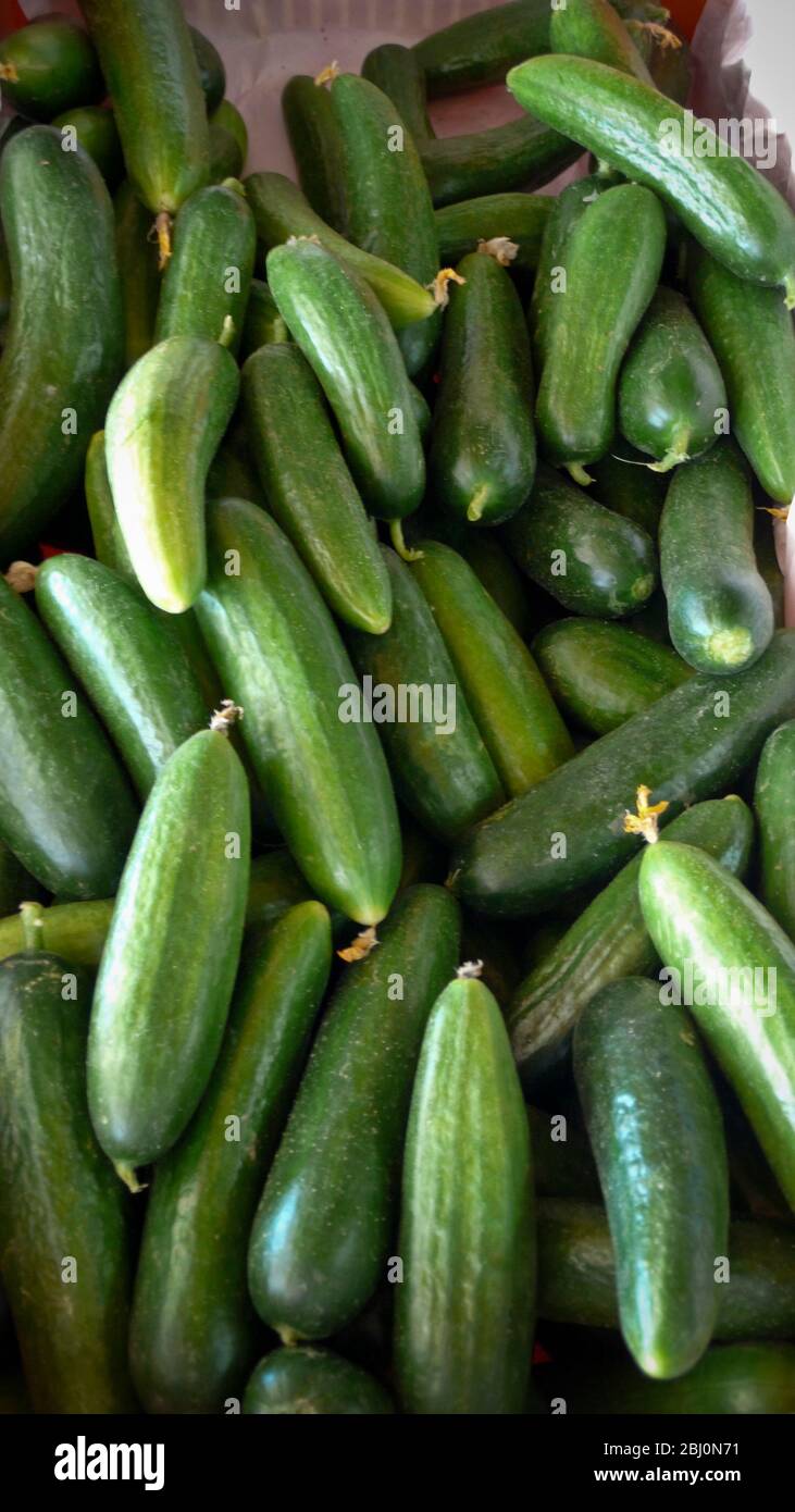 Cucumbers on sale in roadside farm stall, southern Cyprus Stock Photo ...