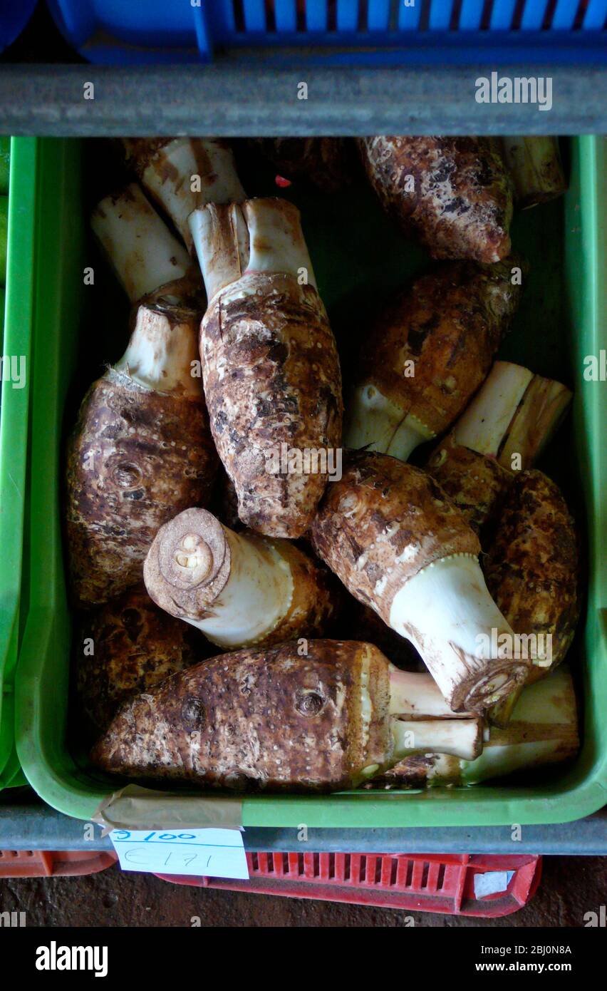 Kolokassi on sale in roadside farm stall, southern Cyprus Stock Photo ...