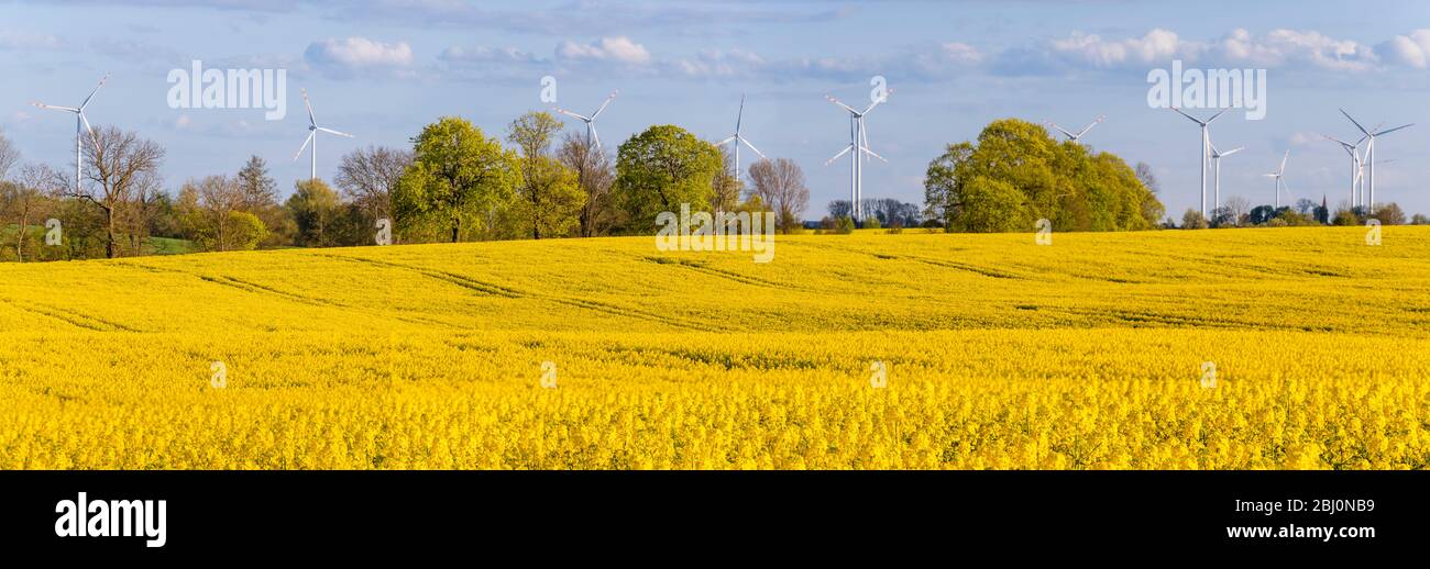 Beautiful field on sunny hi-res stock photography and images - Alamy