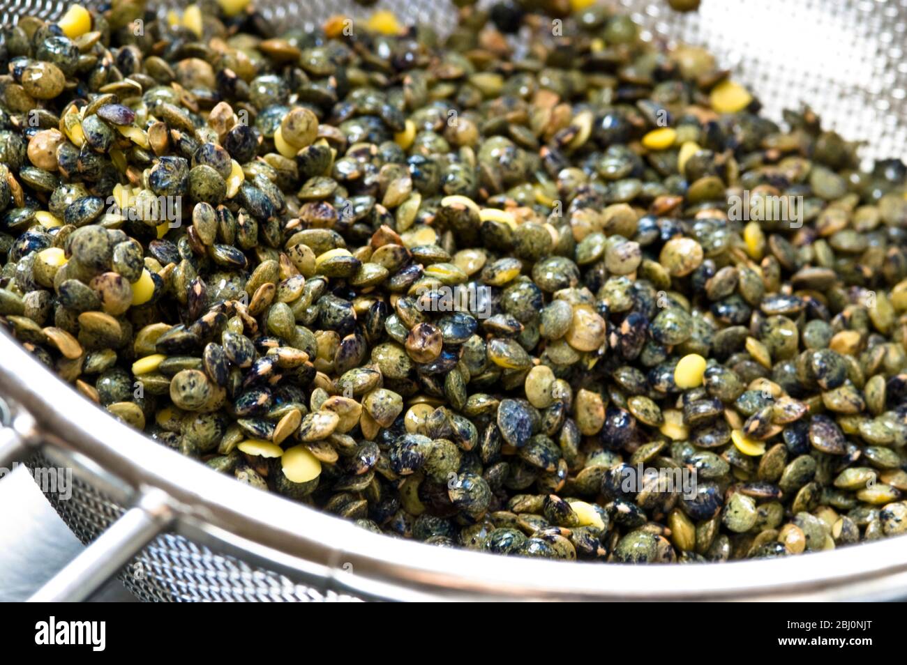 French Puy lentils being washed before cooking Stock Photo - Alamy